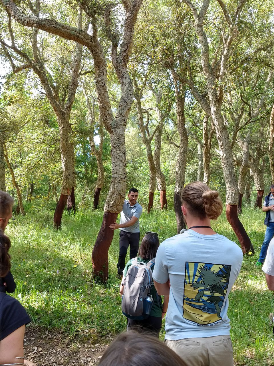 FSC Italia al Southern European Regional Meeting (SERM) di IFSA ...