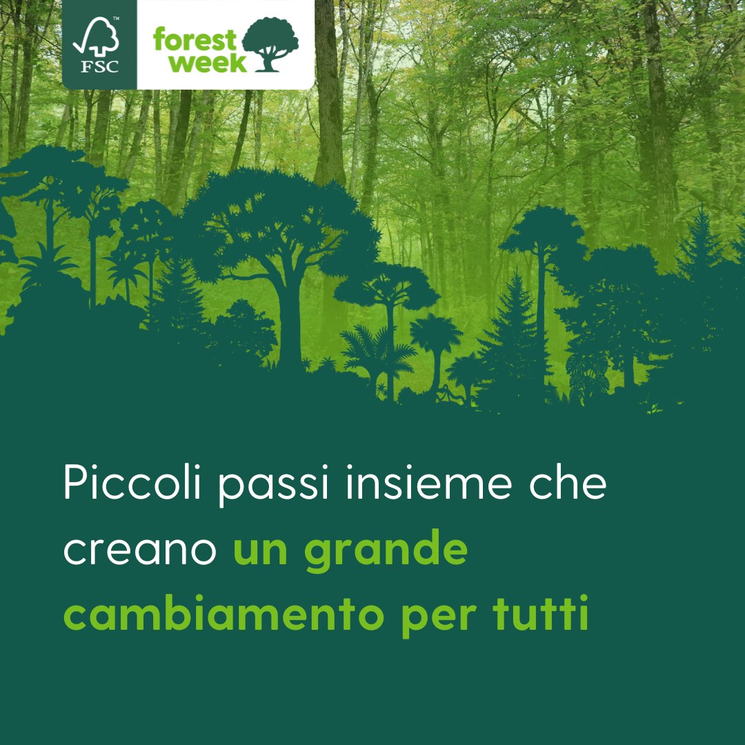 FSC Forest Week 2024: piccoli passi per un’azione globale collettiva ...